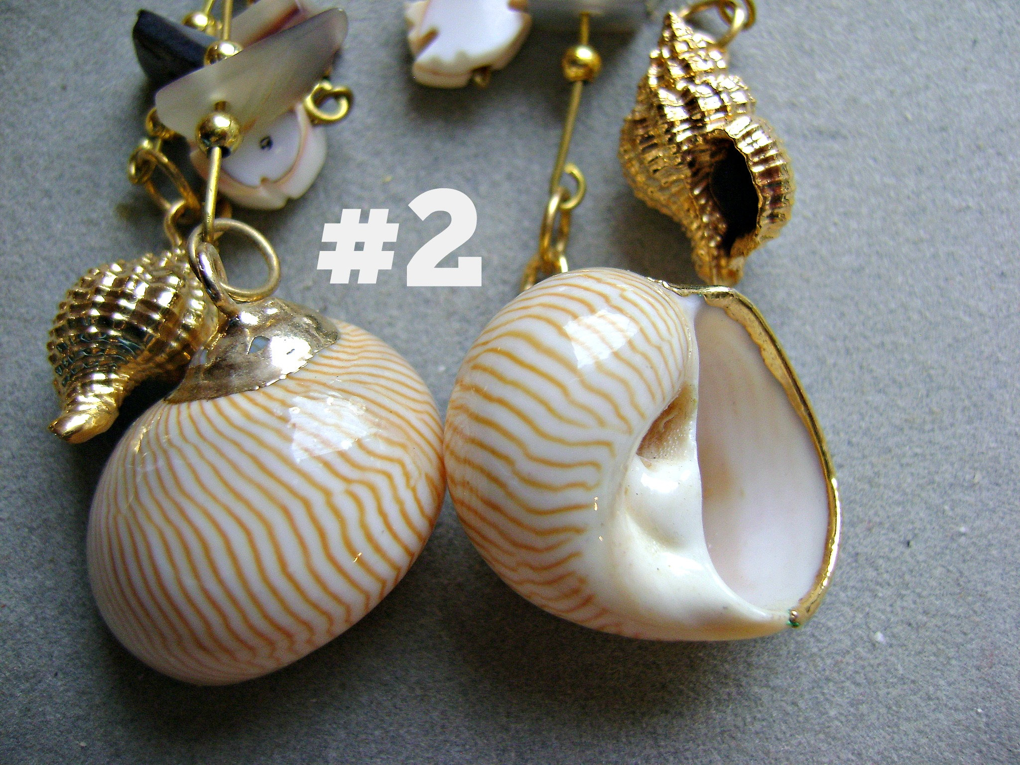 SHELL SLICES W/gold Edges 4 Styles and Philippine Shell - Etsy