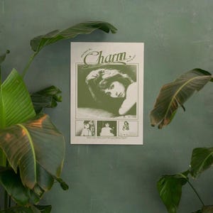 Clairo Charm Album Cover Tracklist Poster // 11 X 17 In, Music Poster ...