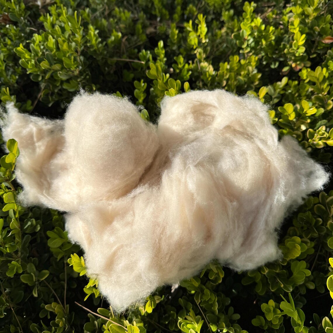 100% Cashmere Fibers/dehaired/for Making Combing Tops/to Make Roving ...