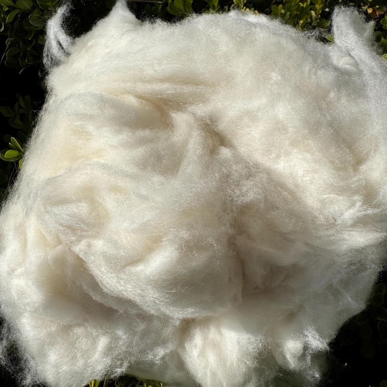 100% Cashmere Fibers/dehaired/for Making Combing Tops/to Make Roving ...