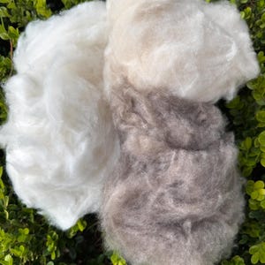 100% Cashmere Fibers/dehaired/for Making Combing Tops/to Make Roving ...