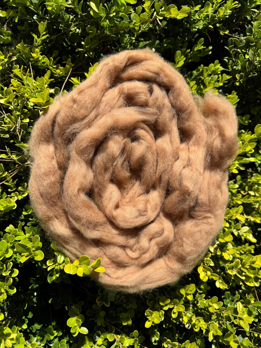 Combo Camel + Yak Roving/undyed Tops/felting/spinning/knitting ...