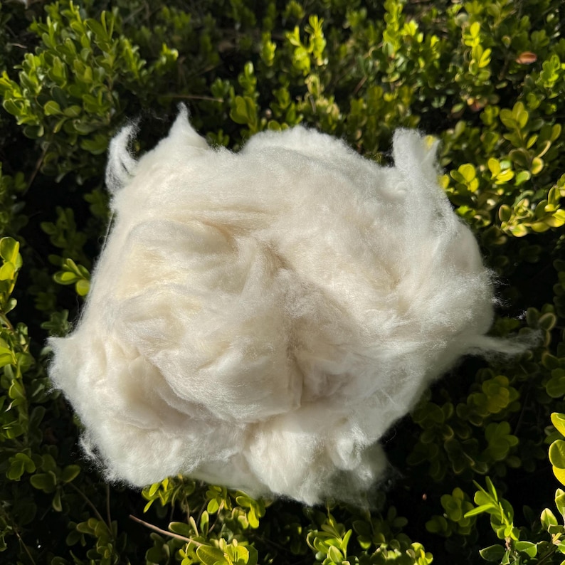 100% Cashmere Fibers/dehaired/for Making Combing Tops/to Make Roving ...