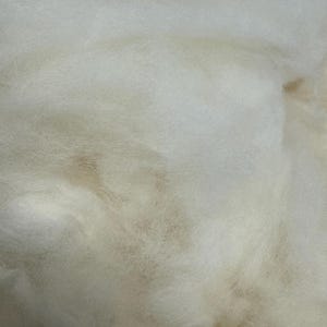 Luxury 100% Cashmere Fibers/(white, Beige, Brown)/natural Colors ...