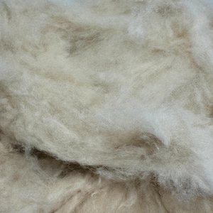Luxury 100% Cashmere Fibers/(white, Beige, Brown)/natural Colors ...