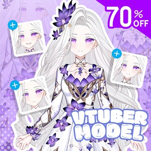 Custom Vtuber Model for Commercial Use,vtuber Commission Live2d Model ...