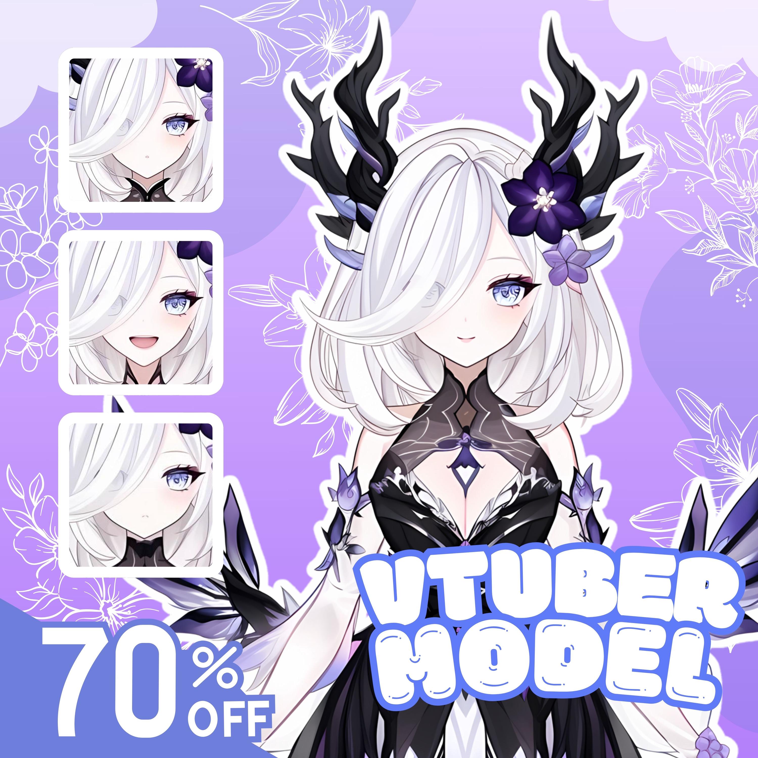 CUSTOM Vtuber Model for Commercial Use Live 2D Vtuber Model Vtuber ...