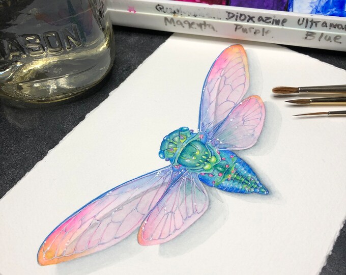 Dream Cicada - Etsy