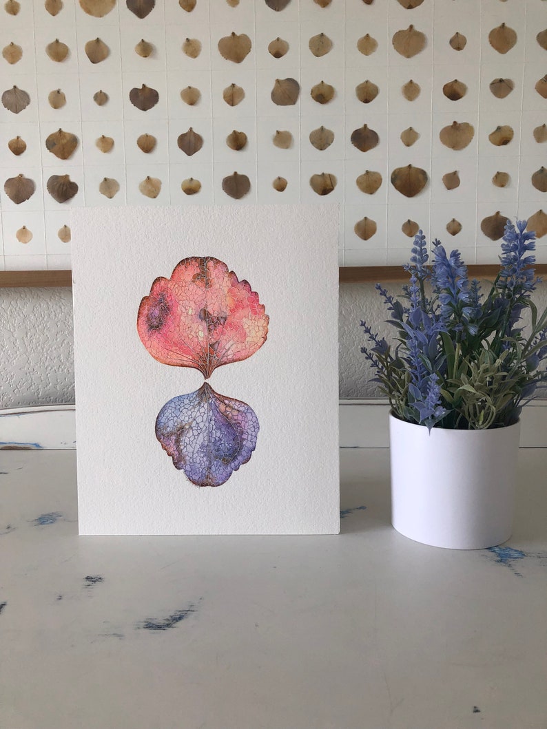 Princess Peach, Watercolor Painting Original Hydrangea Double Petals - Etsy