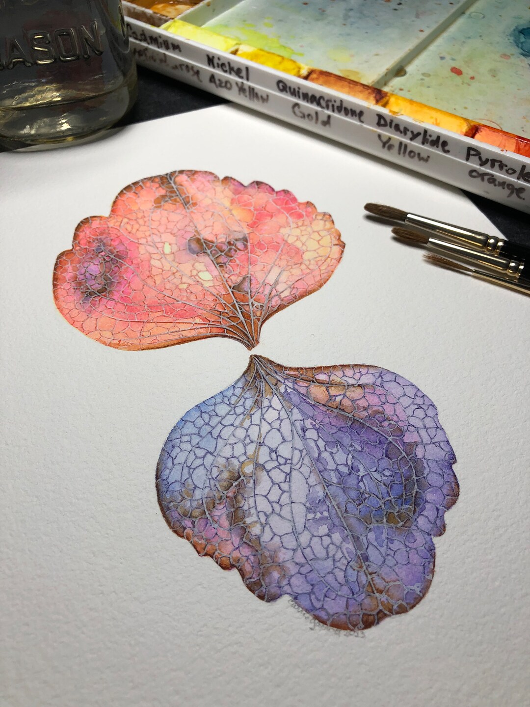 Princess Peach, Watercolor Painting Original Hydrangea Double Petals - Etsy