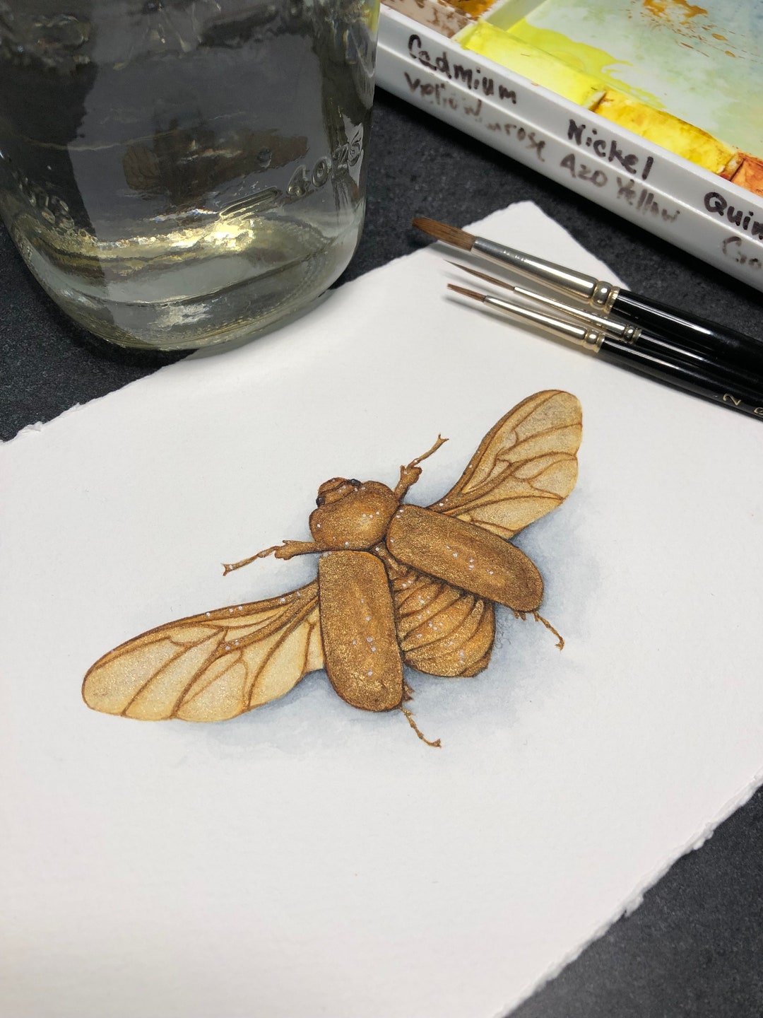 Midas, Golden June Beetle - Etsy