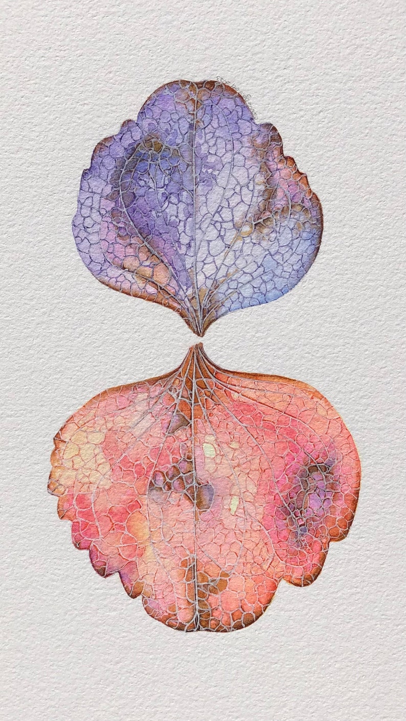 Princess Peach Watercolor Painting Original Hydrangea Double - Etsy