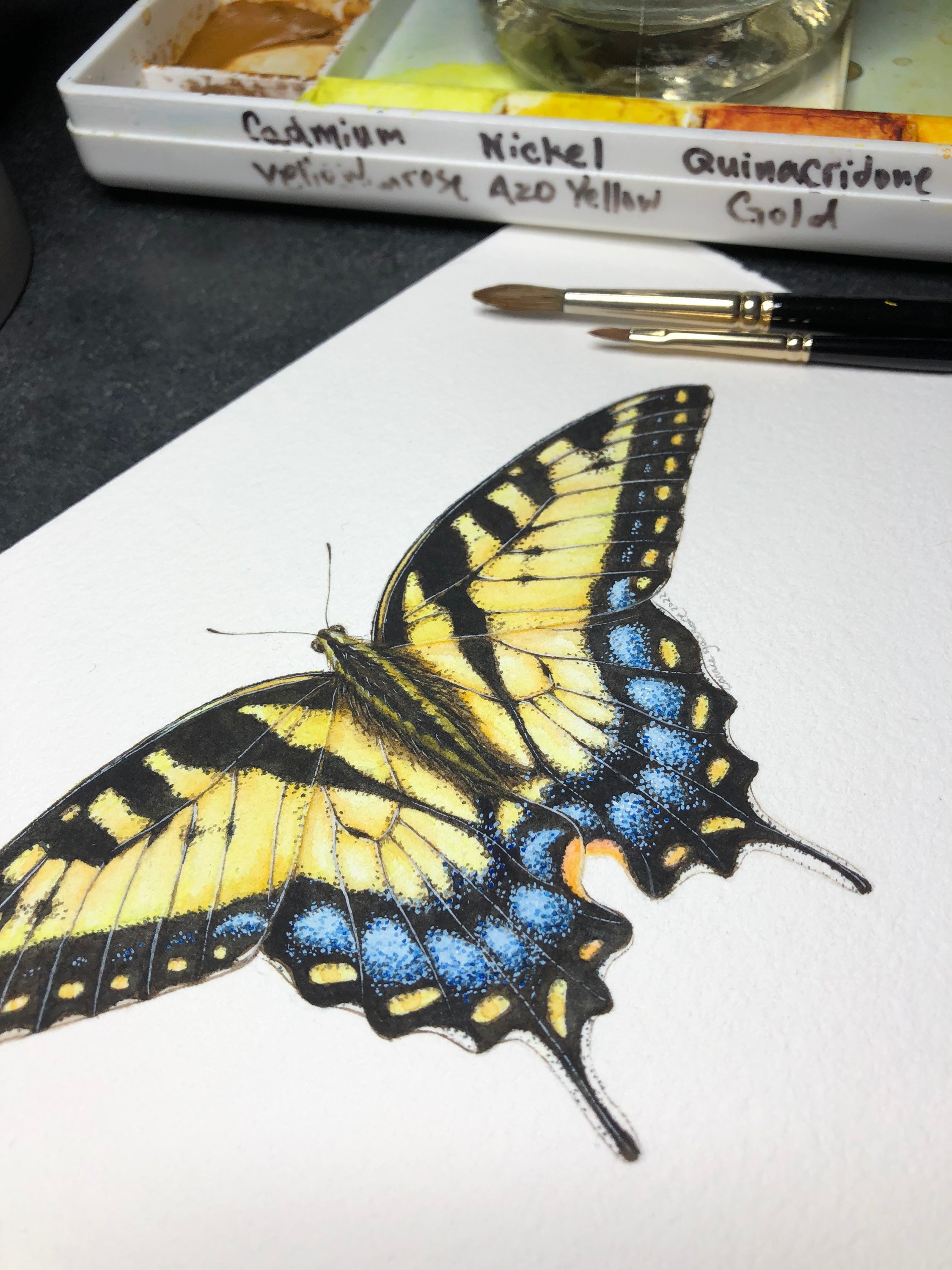Swallowtail Butterfly - Etsy