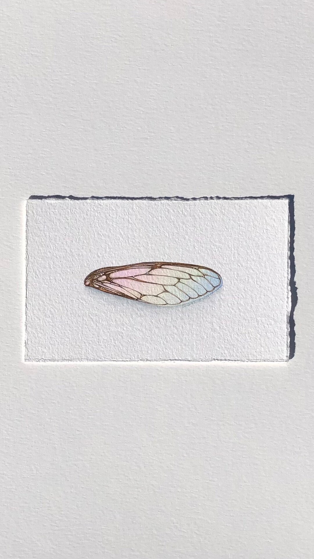 Cicada Wing - Etsy