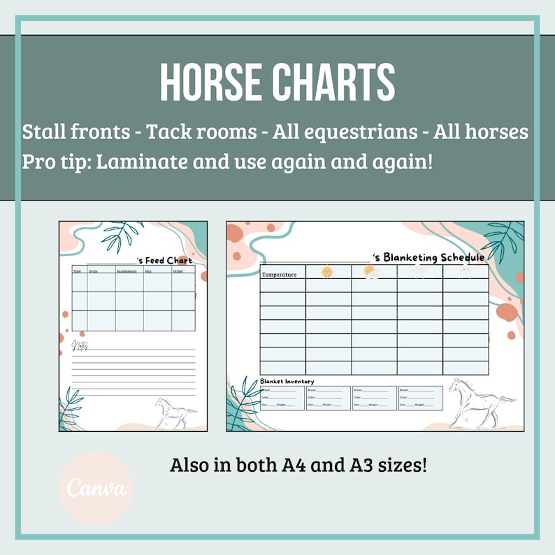 Horse Care Chart Bundle: Training, Feed & Blanket Schedules (PDF) - Etsy