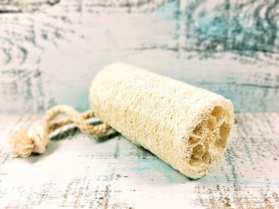 Organic Natural 4 Loofah loofa luffa vegan loofah natural sponge exfoliating loofah loofah gourd spa and gift basket accessory gift Etsy