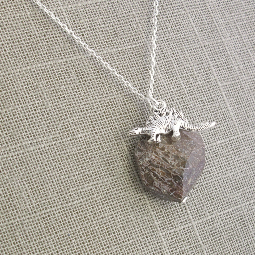 Dinosaur Bone Jewelry, Fossil Necklace, Brown Stone Pendant - Etsy