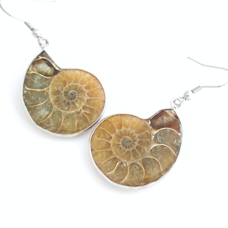 Caramel Fossil Earrings Cephalopod Nautilus Science Jewelry - Etsy