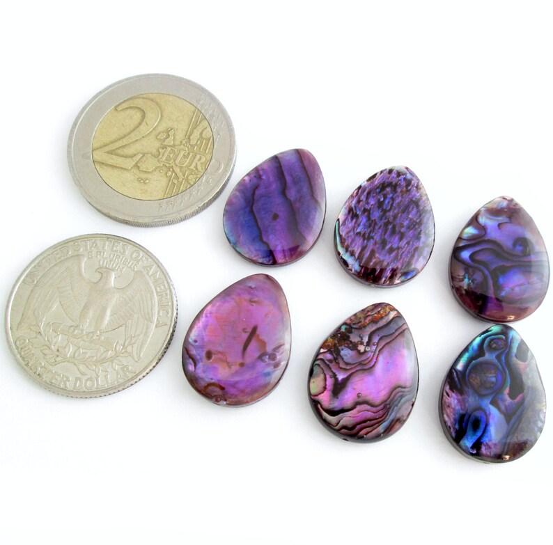 Purple Abalone Shell Pendant Seashell Necklace Grape - Etsy