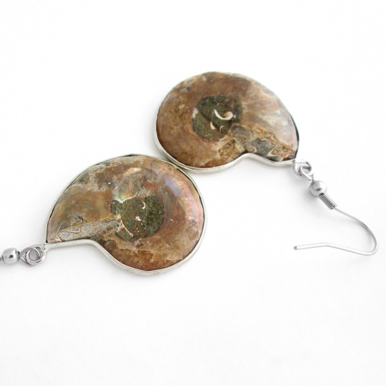 Caramel Fossil Earrings Cephalopod Nautilus Science Jewelry - Etsy