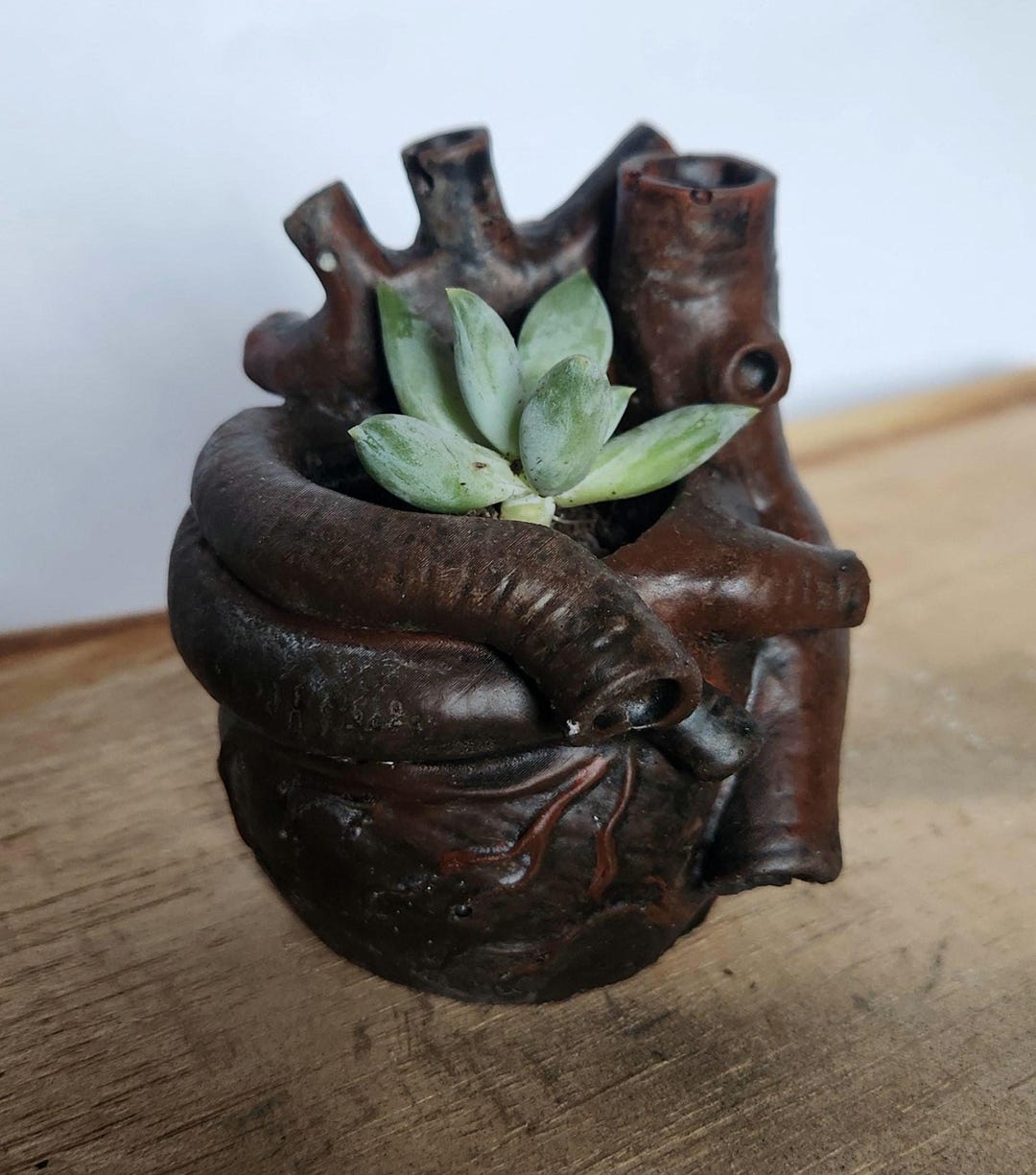 Concrete Human Anatomical Heart Shaped Succulent Planters - Etsy