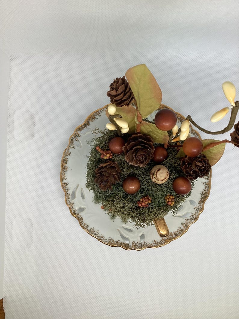 Tea Cup & Saucer Fall Autumn Fairy Garden W/owl Miniature Arrangement ...