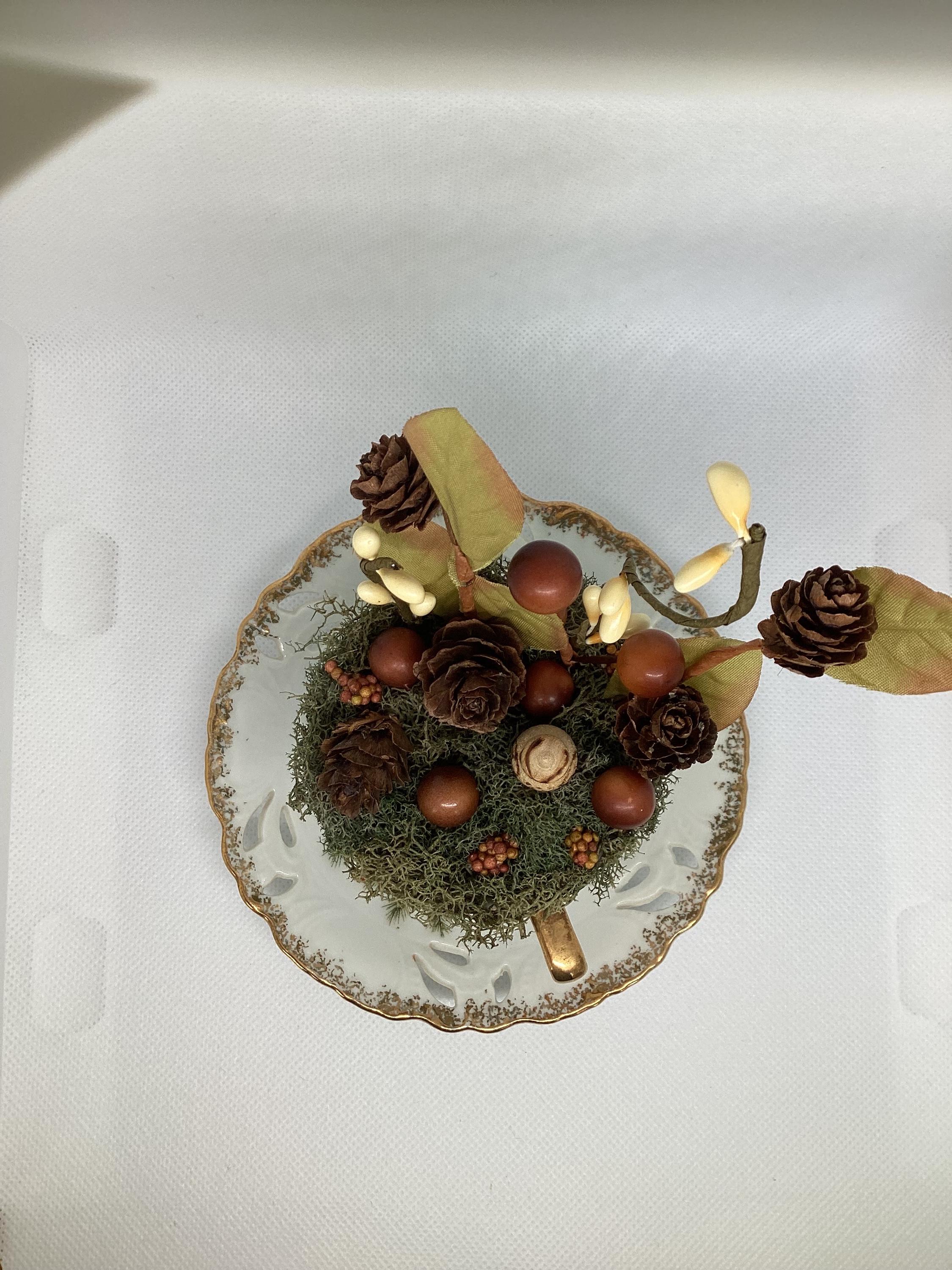Tea Cup & Saucer Fall Autumn Fairy Garden W/owl Miniature Arrangement ...
