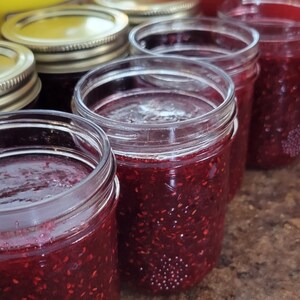 Red Raspberry Jam - Etsy