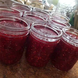 Red Raspberry Jam - Etsy