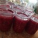 Red Raspberry Jam - Etsy