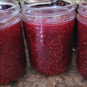 Red Raspberry Jam - Etsy