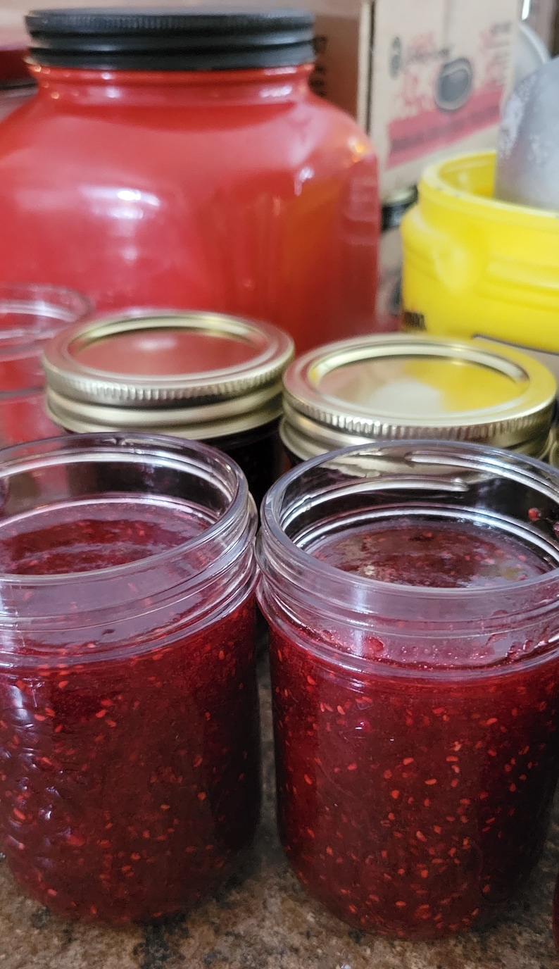 Red Raspberry Jam - Etsy