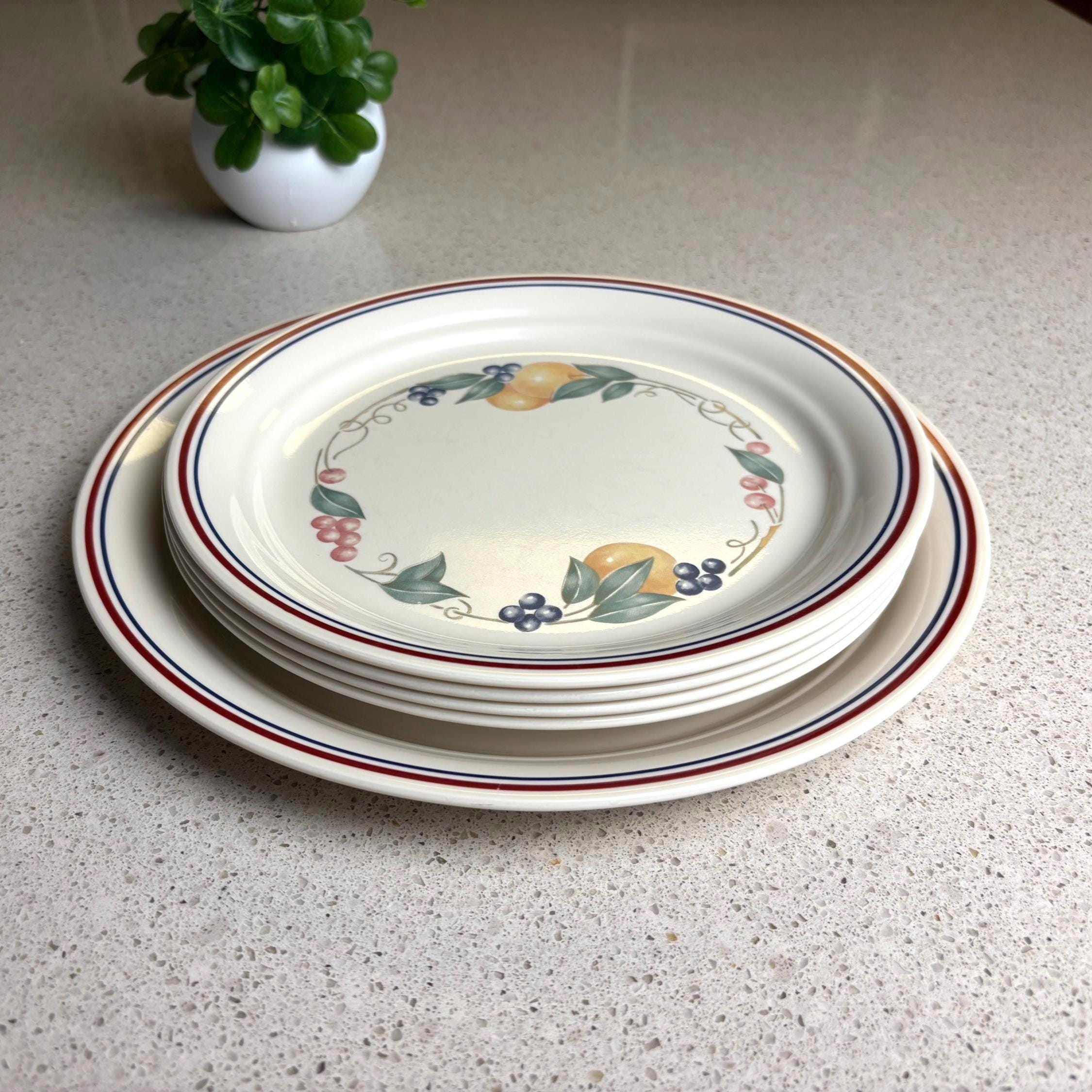 Corelle by Corning 1990s Simple Abundance Medium 8.5 Inch and Large 10. ...