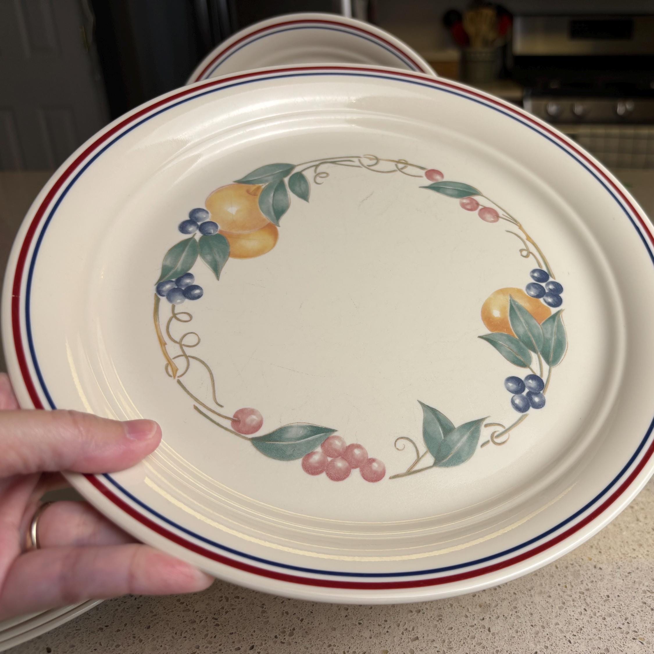 Corelle by Corning 1990s Simple Abundance Medium 8.5 Inch and Large 10. ...