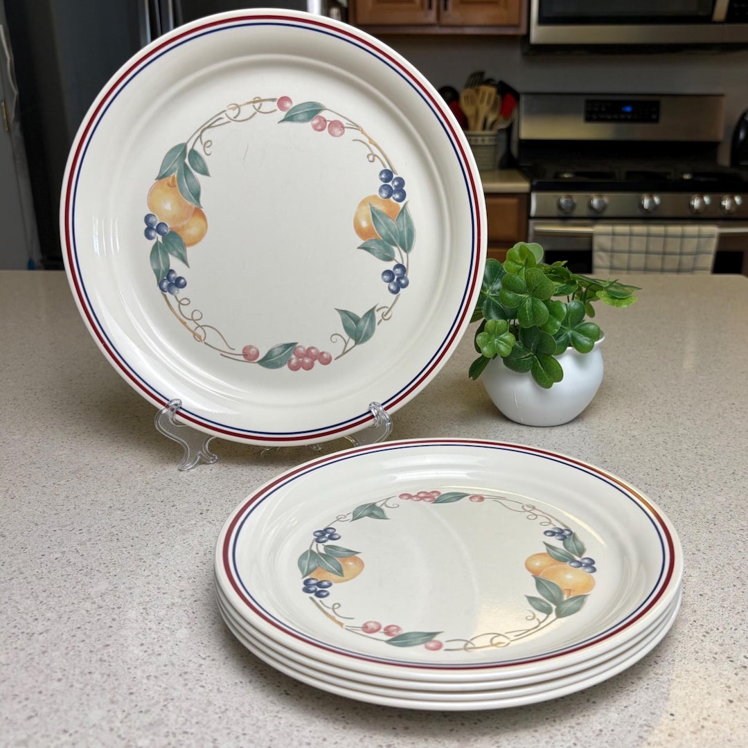 Corelle by Corning 1990s Simple Abundance Medium 8.5 Inch and Large 10. ...