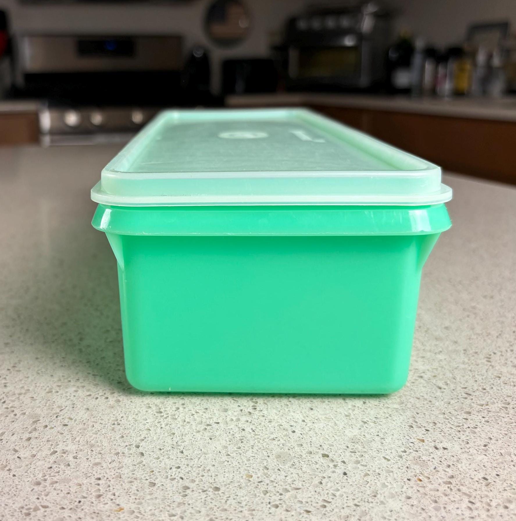 1970s Vintage Tupperware Celery Storage Container With Lid 892-10 ...