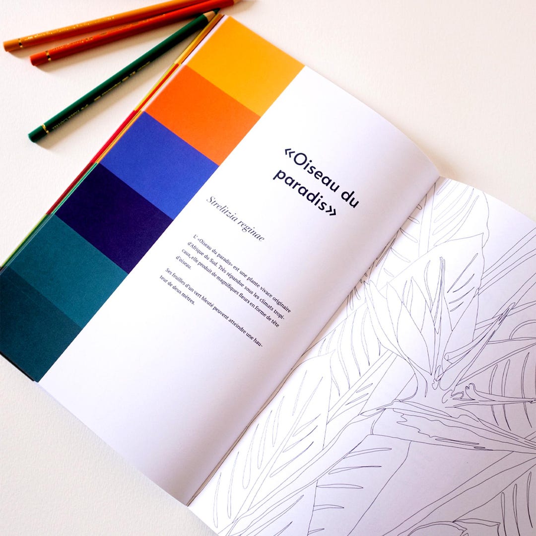 Tropical Flowers Coloring Book & Color Chart - Etsy Canada