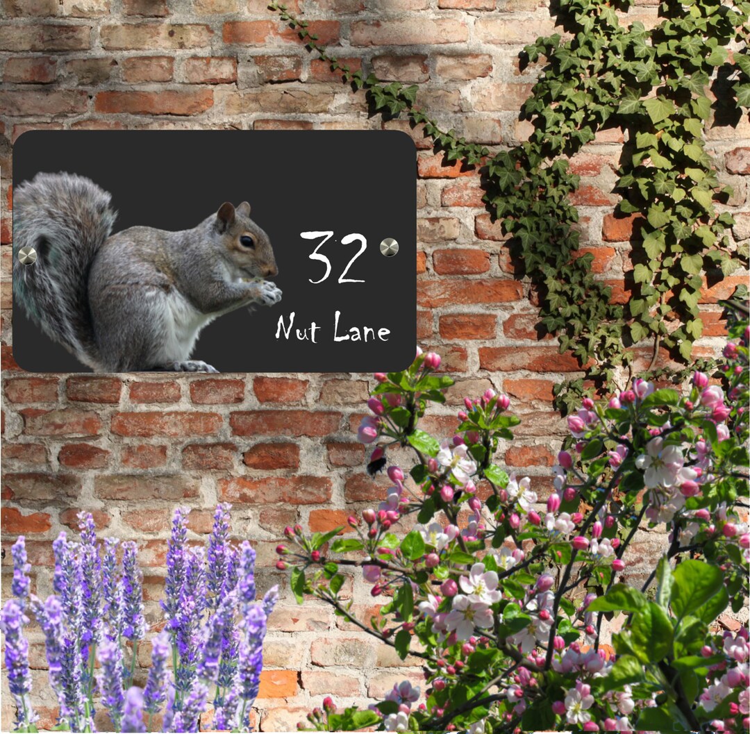 Grey Squirrel House Sign, House Sign, Address Sign, Wall Plaque - Etsy