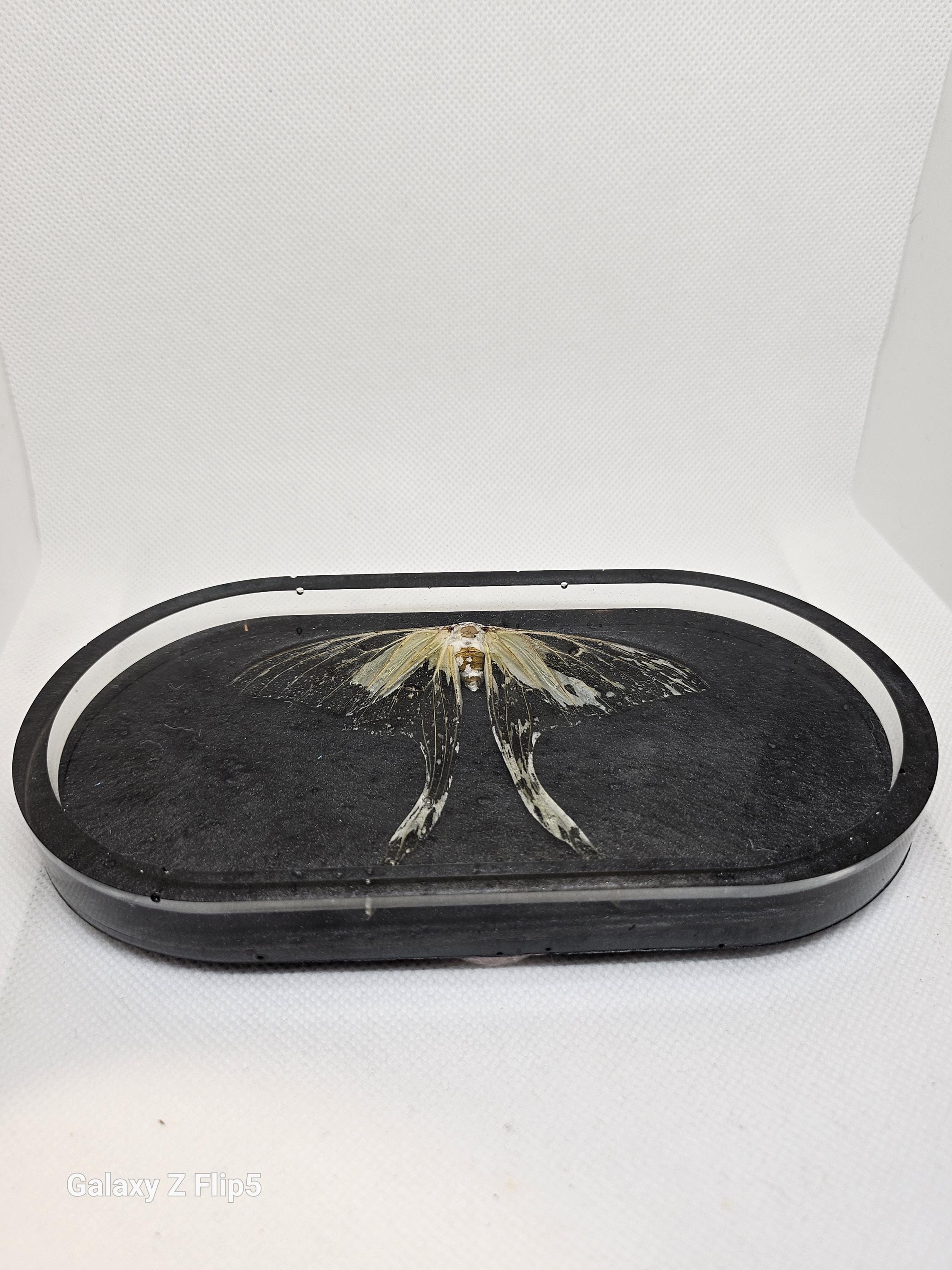 Resin Tray With Real Moth - Etsy