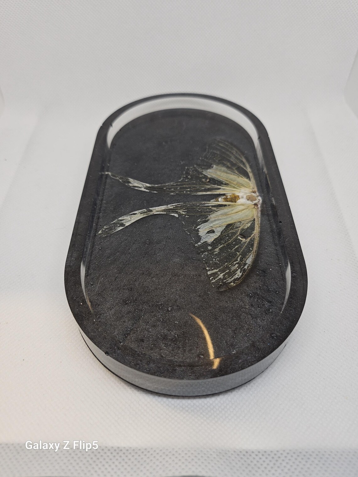 Resin Tray With Real Moth - Etsy