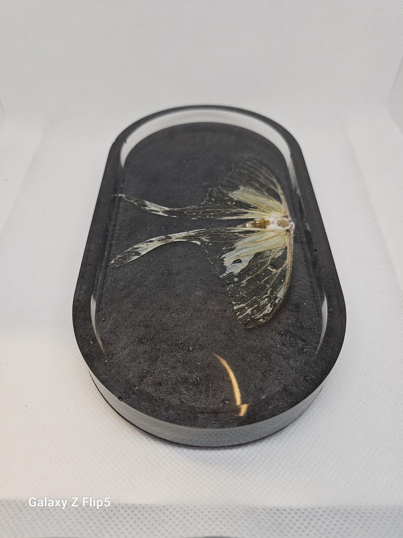 Resin Tray With Real Moth - Etsy