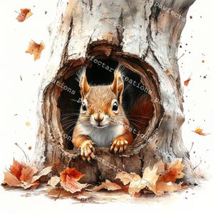 10 Cute Peeking Squirrel Clipart, Peeking Out of a Tree, Printable ...