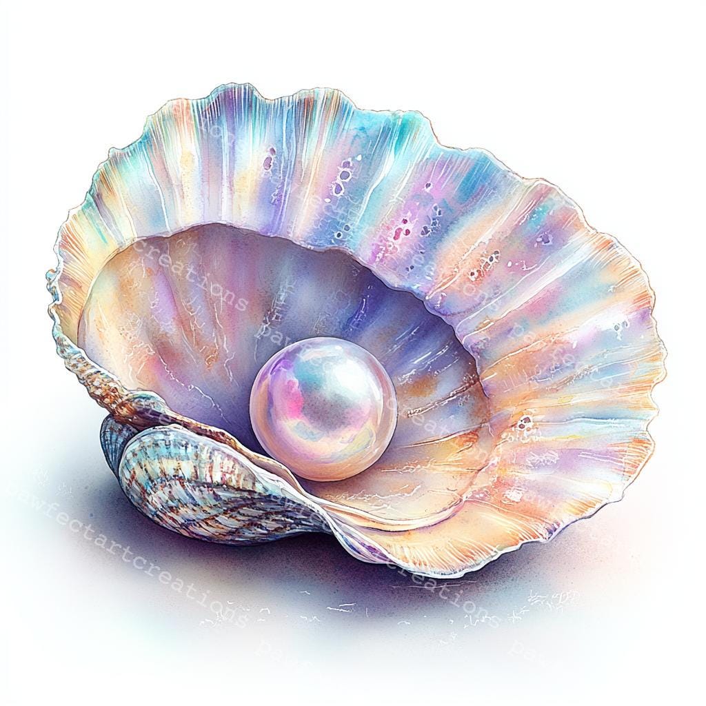 10 Clam Shell With Pearl Clipart, Sea Shell With Pearl Clipart ...