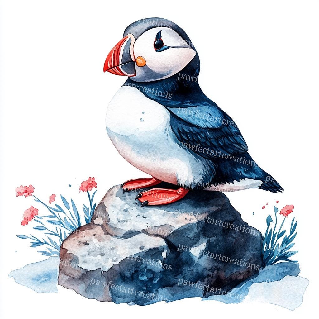 12 Cute Cartoon Puffin Clipart, Ocean Animals, Under the Sea Clipart ...