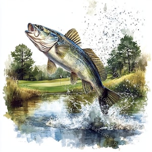 12 Jumping Bass Clipart, Fish Clipart, Smallmouth Bass Fish, Printable ...