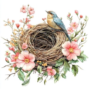 Floral Bird Nest Clipart: Watercolor Jpgs for Junk Journals (digital ...
