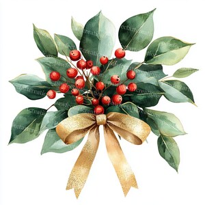 15 Mistletoe Clipart, Christmas Card, Christmas Flower Clipart ...