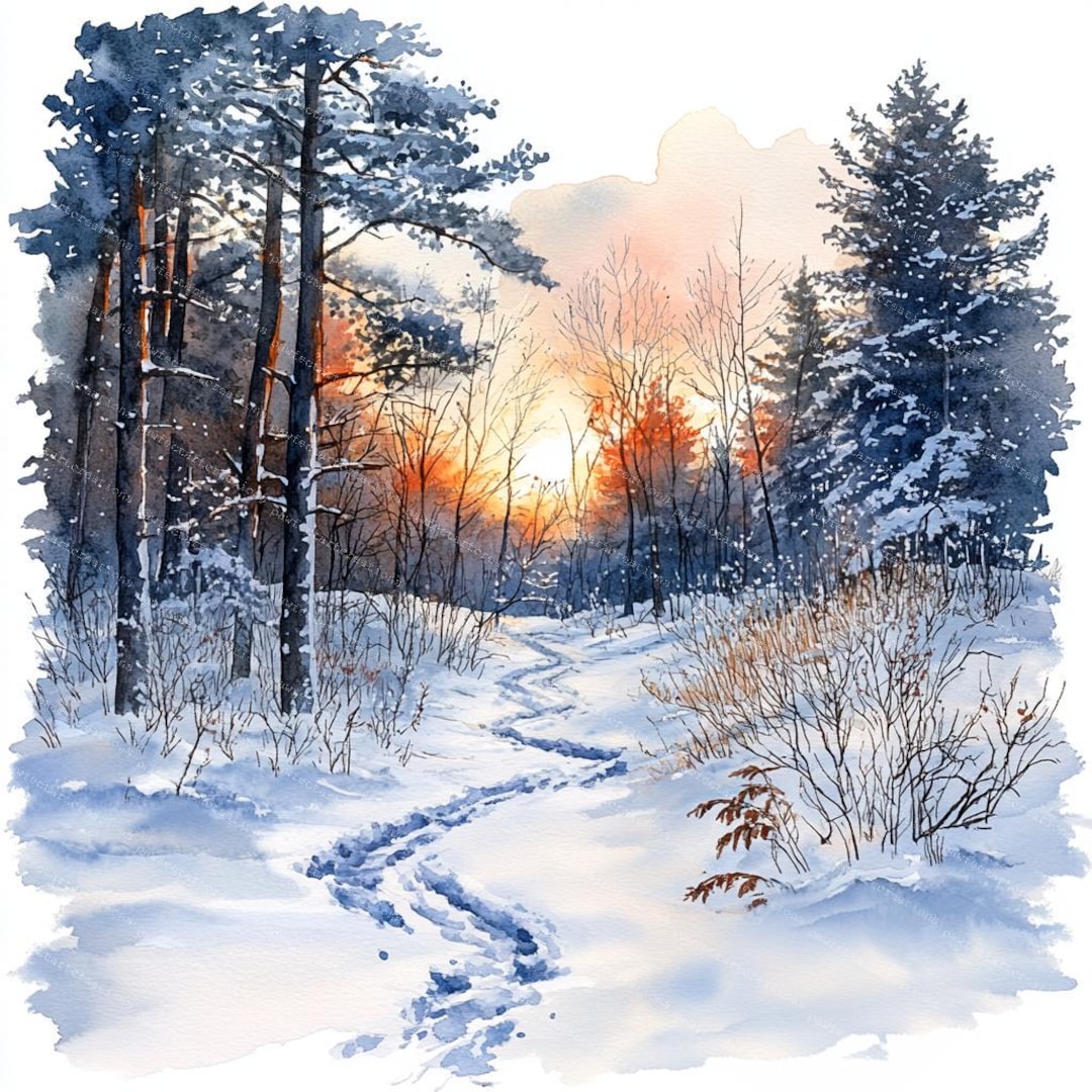 10 Winter Forest Trail Clipart, Forest Landscape, Hiking Trail Images ...