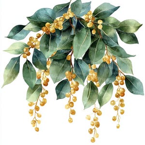 15 Mistletoe Clipart, Christmas Card, Christmas Flower Clipart ...