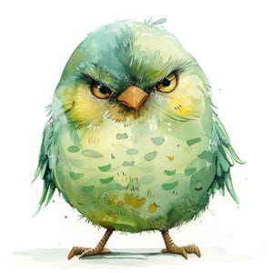 10 Grumpy Birds Clipart, Cute Fluffy Birds, Printable Watercolor, High ...